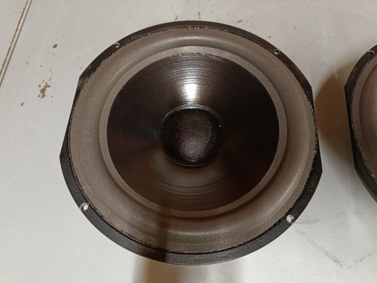 Original 10" Woofer - DALI/VIFA M25W0-15 - From Dali 107 vintage ...